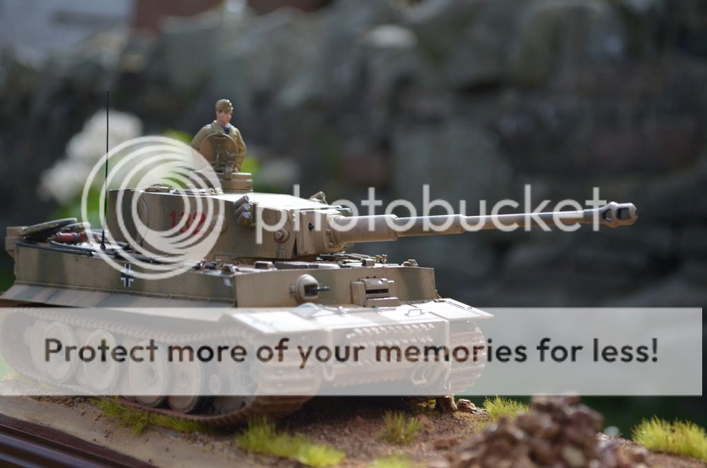 TIGER 132 TUNISIA 1943 - International Scale Modeller